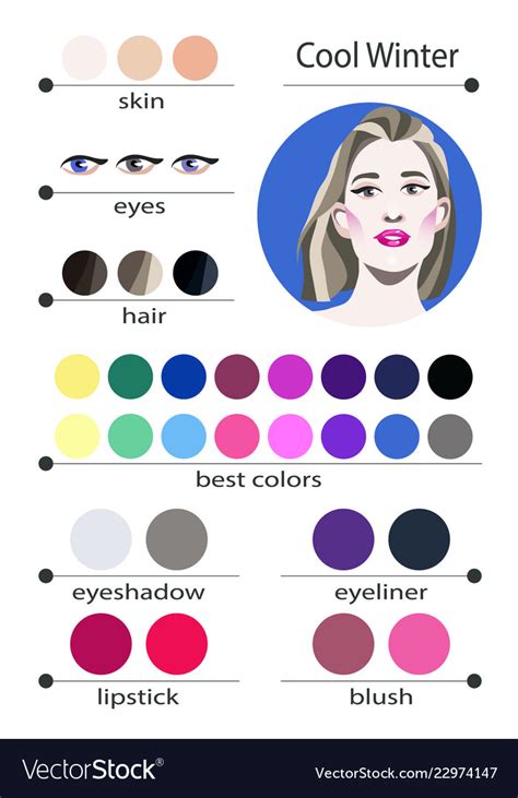 Seasonal Color Analysis Palette For Cool Winter Vector Image