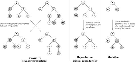 Figure 1 From Diagnosis Of Oral Cancer Using Genetic Programming Semantic Scholar
