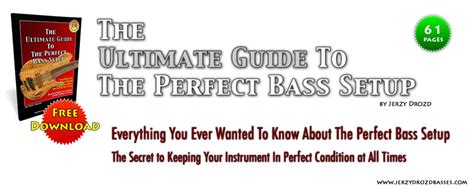 The Ultimate Guide To The Perfect Bass Setup