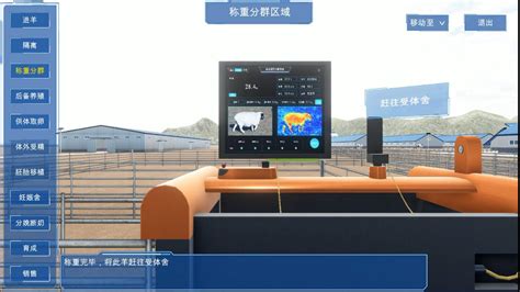 实验详情