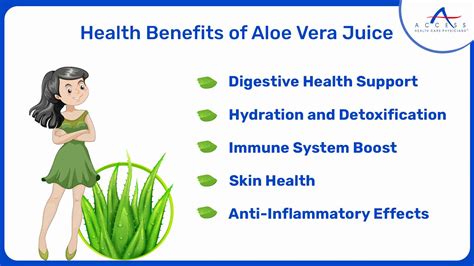 Incorporating Aloe Vera Juice Into Your Diet Benefits Tips