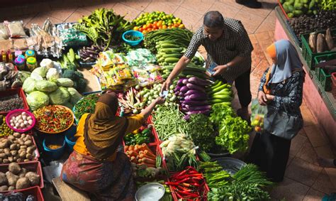 Why Imposed Free Market Reforms Arent The Answer Shortform Books