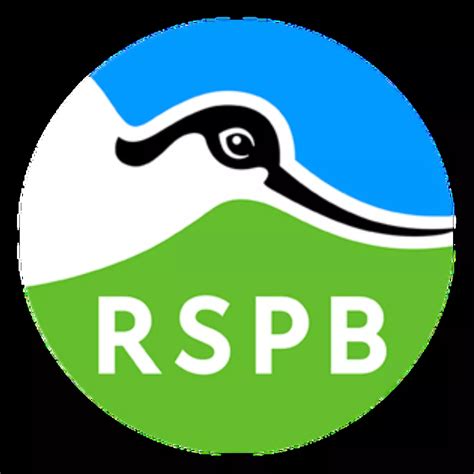 Facts About Rspb Factsnippet