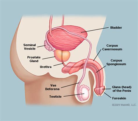 Best Sexologist Sexology Hospital Jaipur Sukh Sagar Hospital