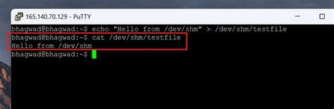 what is dev shm and why is it so useful