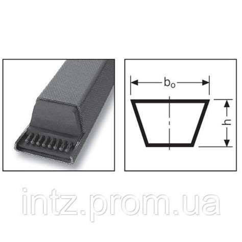 Ремень 17/BX 2585 (BX100) Contitech Continental (ID#1432967047), цена ...