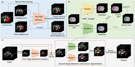 Two Stage Hybrid Supervision Framework For Fast Low Resource And Accurate Organ And Pan Cancer