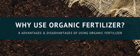 Untitled — Advantages And Disadvantages Of Using Organic