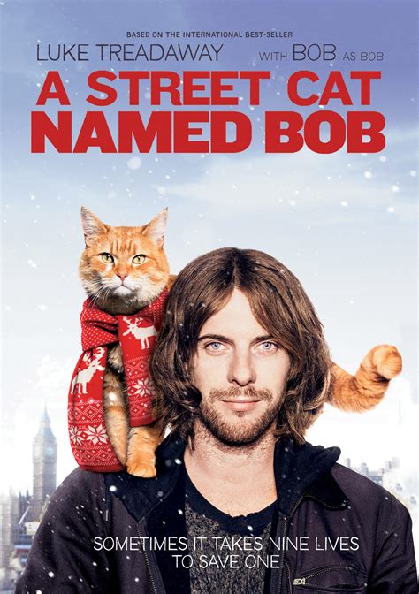 Street Cat Named Bob Dvd Cinema Classics