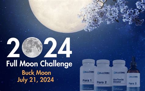 Full Moon Protocol Suzannah Jackson Nutrition