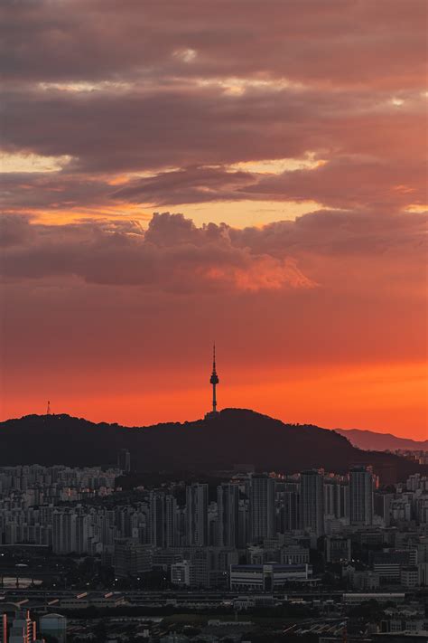멋진 일몰을 감상하기 가장 좋은 계절은 바로 이 계절 여름이에요 🌿 유독 여름이 되면 일몰 시간대에 하늘이 분홍빛