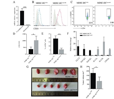 Lymphocytes Depletion From Tumor Bearing Mice Splenocytes Induced Cd24 Download Scientific
