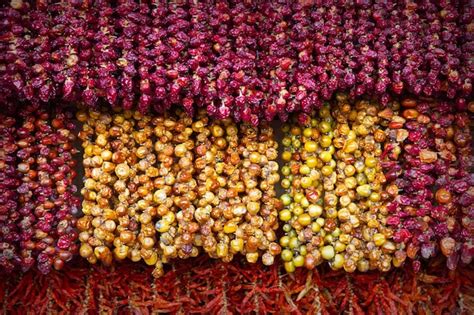 Premium Photo Dry Hot Chillis Background