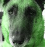 HSV Components Layer Modes Ahuka Communications