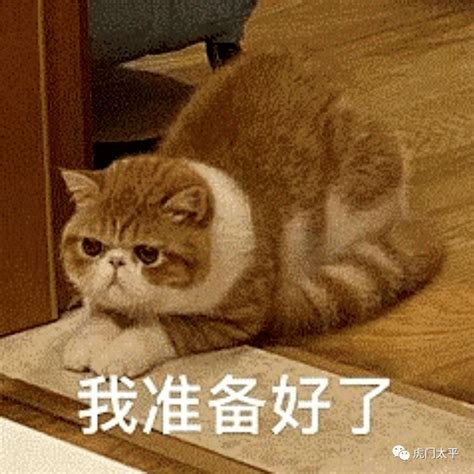 不限户籍！中签包三针！虎门新一轮hpv疫苗抽签又来啦→接种程序中签号