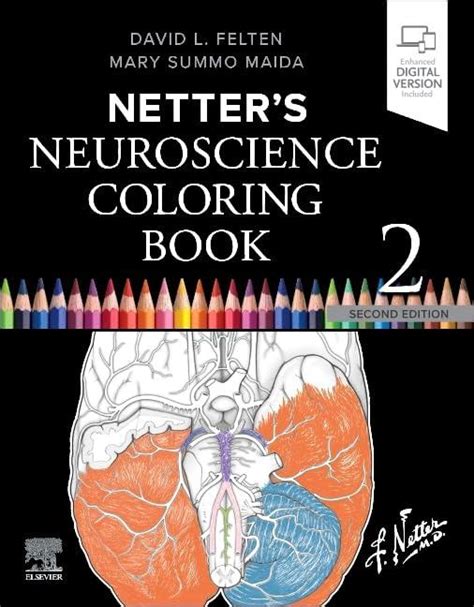 Medical Netter`s Neuroscience Coloring Book 2nd Edition