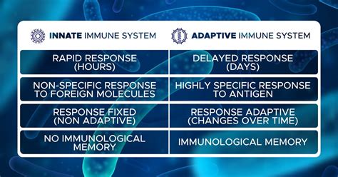 Immunology 101 Innate And Adaptive Immunity Explained Immunoprecise