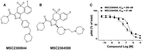 Identification Of Pi3kδ Inhibitor Msc2360844 And Msc2364588 A