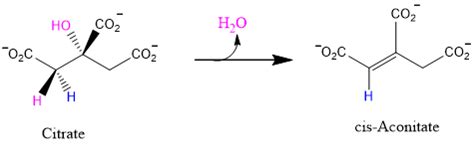 Solved Chapter 29 Problem 12P Solution Organic Chemistry 9th Edition