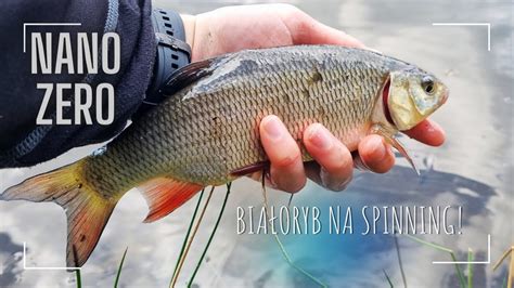 JAZIE na SPINNING?! Białoryb na gumy | CRAZY FISH Nano Zero 1,5g - YouTube