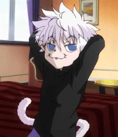 Anime Killua Cat