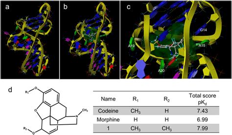 A The Predicted Molecular Model Of Cba 1 B The Predicted Binding