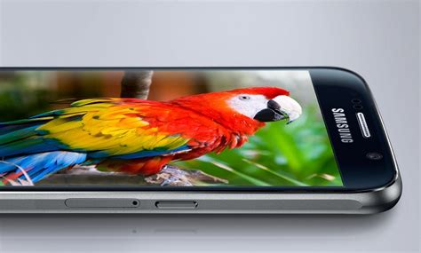 Samsung Galaxy S6 Black Screen After Phone Got Dropped Issue Other