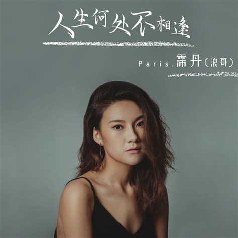 人生何处不相逢霈丹浪哥高音质在线试听人生何处不相逢歌词歌曲下载酷狗音乐