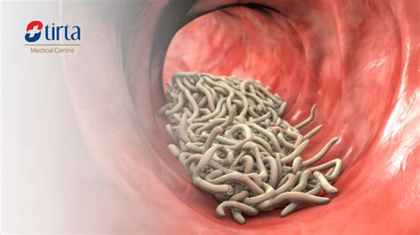 Laju Endap Darah Tinggi Penyebab Jenis And Hasilnya