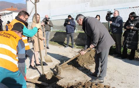 Grad planira da potroši još 45 000 evra na sadnice Slobodna reč