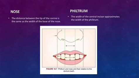 Teeth Selection And Arrangement Pdf