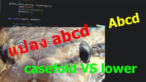 สอนไพธอน python 3 เรยนเทคนค แปลงเฉพาะตวแรกเปนตวพมพใหญ capitalize casefold VS lower