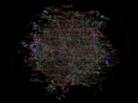 Wanda Goldsmiths Ma Mfa Computational Arts