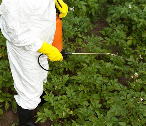 Discover Local Pest Control Solutions In Our Community