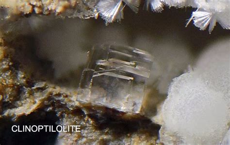 Zeolite Ore Uses Types Of Zeolite Ore And Specific Application Maxton