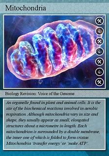 Mitochondria Created With Fds Flickr Toys Biology Flashcards Flickr