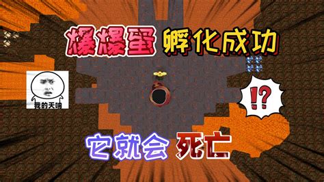 迷你世界：爆爆蛋沒有“孵化成功”很可憐，孵化成功就會死亡消失 Youtube