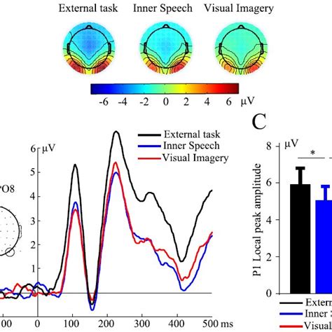 Amplitude And Topography Of Early P1 Component A Voltage Scalp