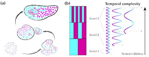 Alignment Of An Organism A With Regularities In The Environment B Download Scientific