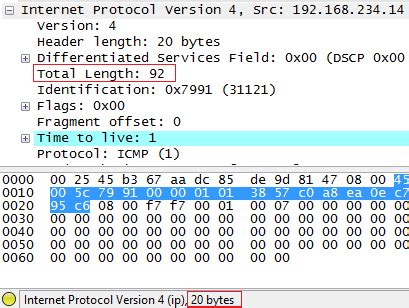 Wireshark Lab IP Solution My Computer Science Homework