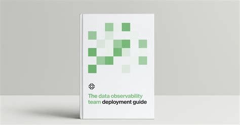 The Data Observability Team Deployment Guide — Bigeye
