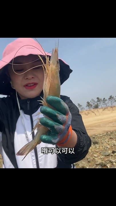 肥硕的象拔蚌藏在排水管下，还抓获好多八爪鱼！今天是海货爆桶的一天！shorts Youtube