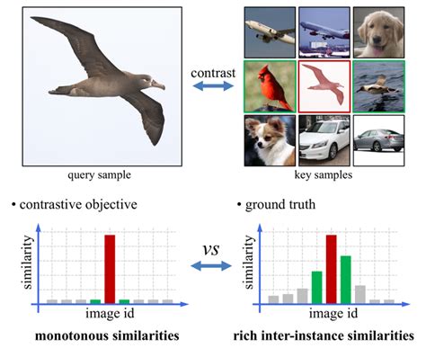 【前沿研究】跨图像相似度建模对比学习方法 inter instance similarity modeling for