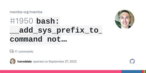Bash Add Sys Prefix To Path Command Not Found When Running Any Mamba Command Issue