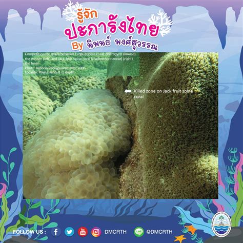 พาท่องโลกใต้ทะเล กรมทรัพยากรทางทะเลและชายฝั่ง