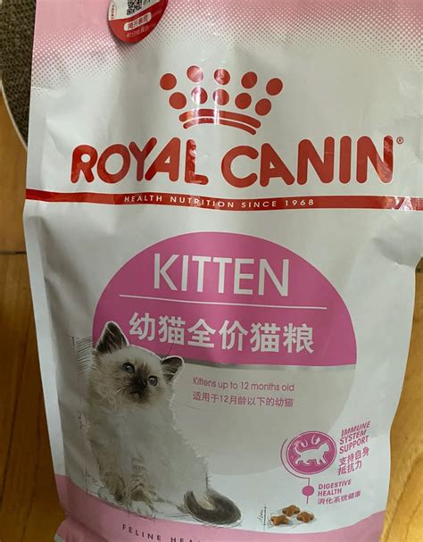 小猫多大吃猫粮？0 6月小奶猫喂养攻略 知乎