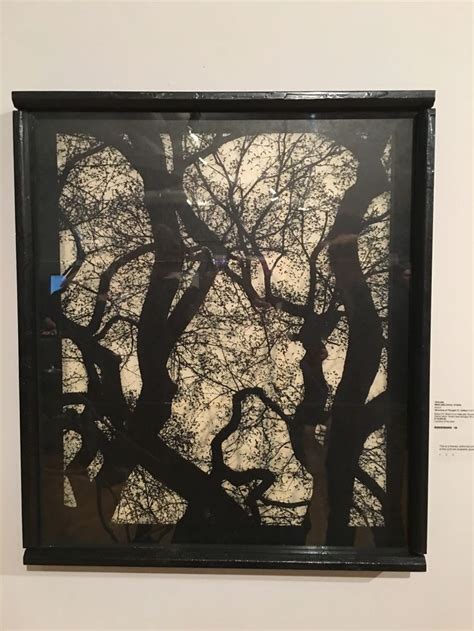 Heidi Nitze Local Artists Artist Decor