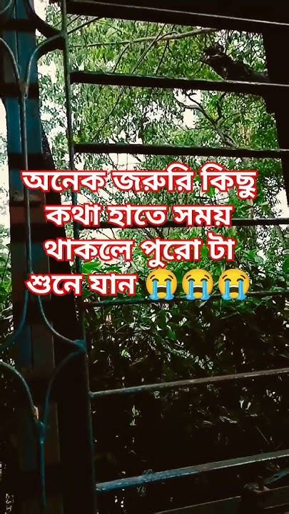 অনেক জরুরি কিছু কথা হাতে সময় থাকলে পুরো টা শুনে যান Shortvideo