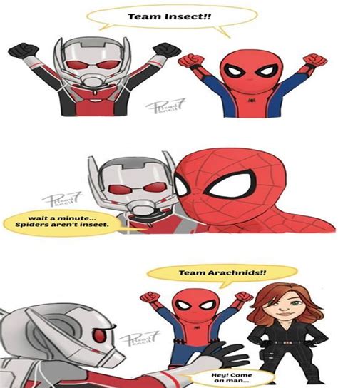 Getting Their Facts Right Superhero Funny Funnysuperhero Avengers