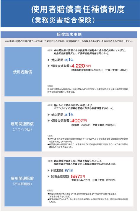 使用者賠償責任補償制度（業務災害総合保険） 役員賠償責任補償制度・使用者賠償責任補償制度・雇用関連賠償責任補償制度 株式会社エスアールエム